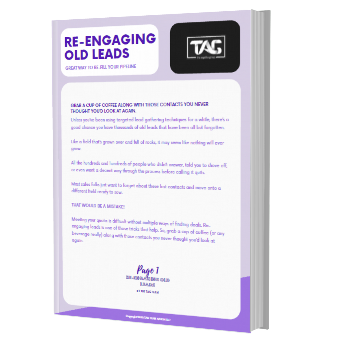 Re-engaging old leads – TAG TEAM NATION